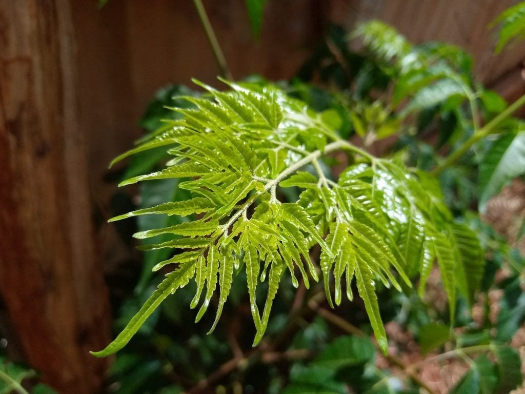 TECNO Spark 3 Pro Review - Techish Kenya