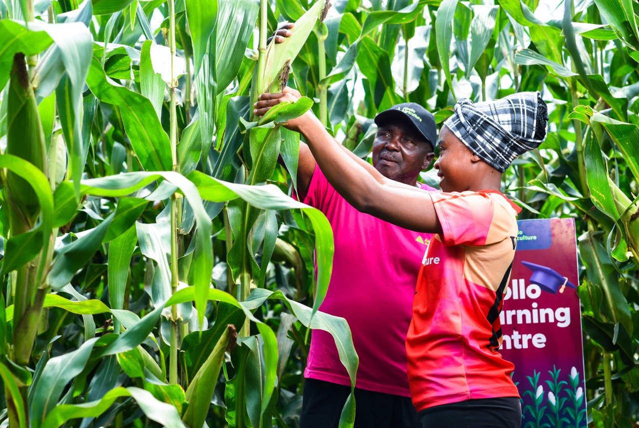 Apollo Agriculture and Kaleidofin Close Kenya's First Private-Sector ...